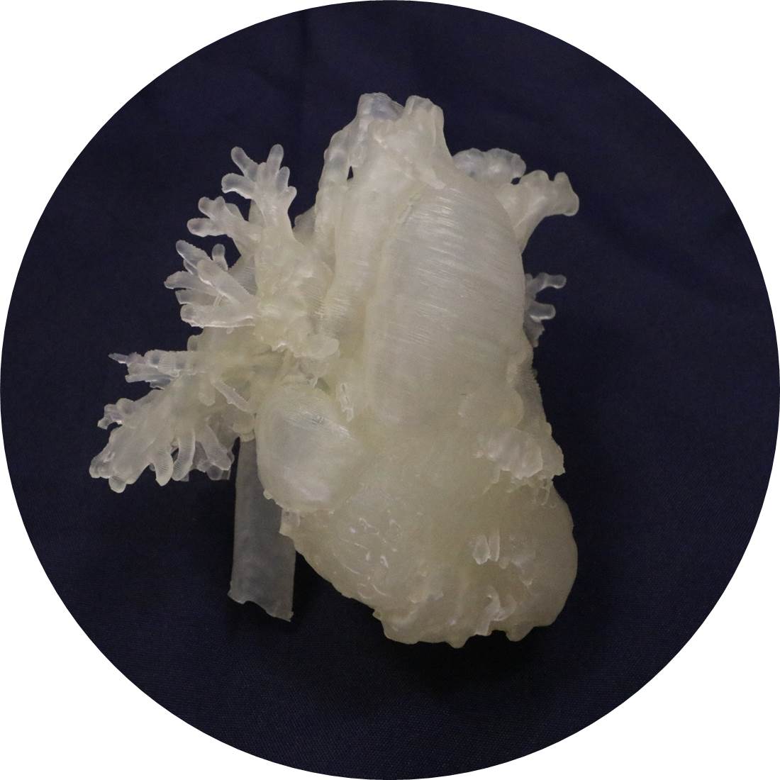 MiiCraft – Material